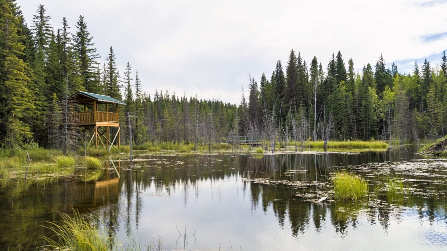 Book A Hotel in Hinton | Hinton Hotels
